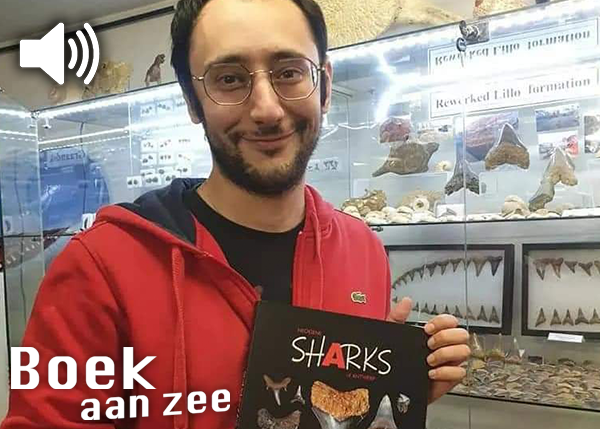 In Antwerpen liggen de haaientanden vlak onder het wegdek (alleen weet ...